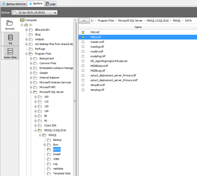 Backupvault How To Restore A Ms Sql Database